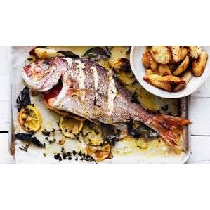 WHOLE BABY SNAPPER – FishDirect
